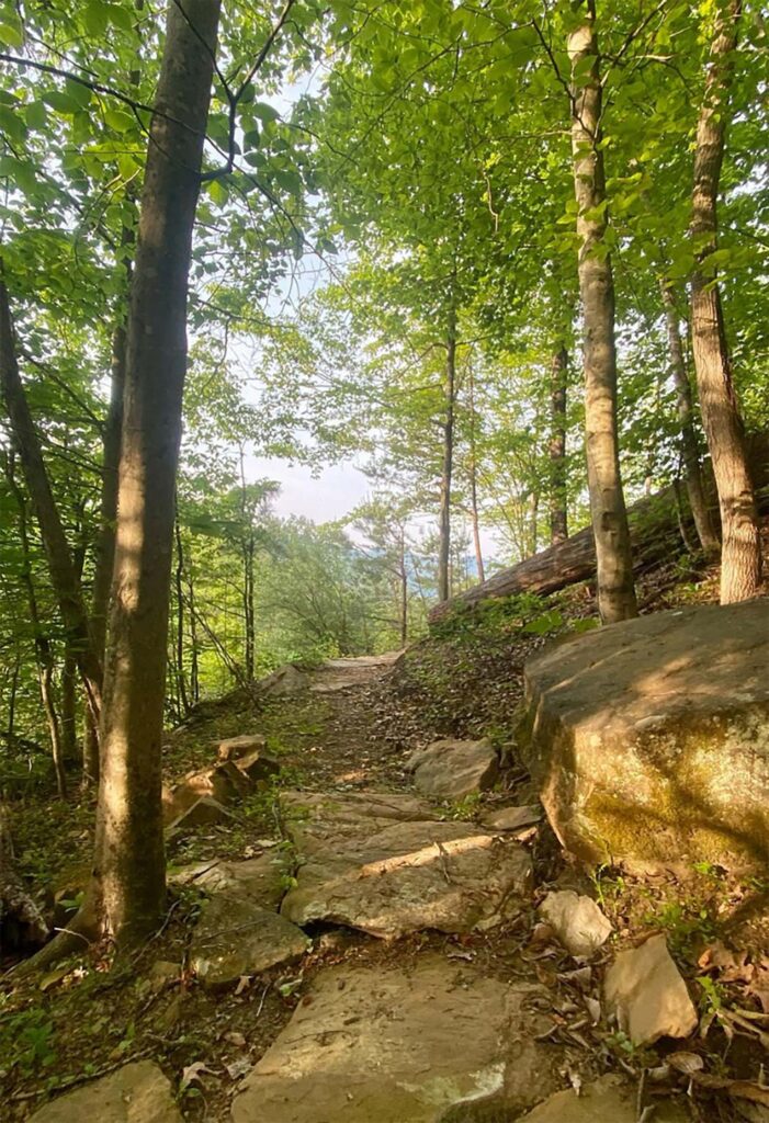 EKY Remote | Relocate to Beautiful Eastern Kentucky for Work